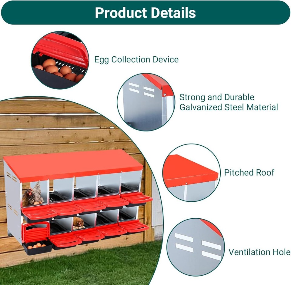 Chicken Nesting Box 10 Holes Metal Chicken Egg Laying Box Rollout Egg ...