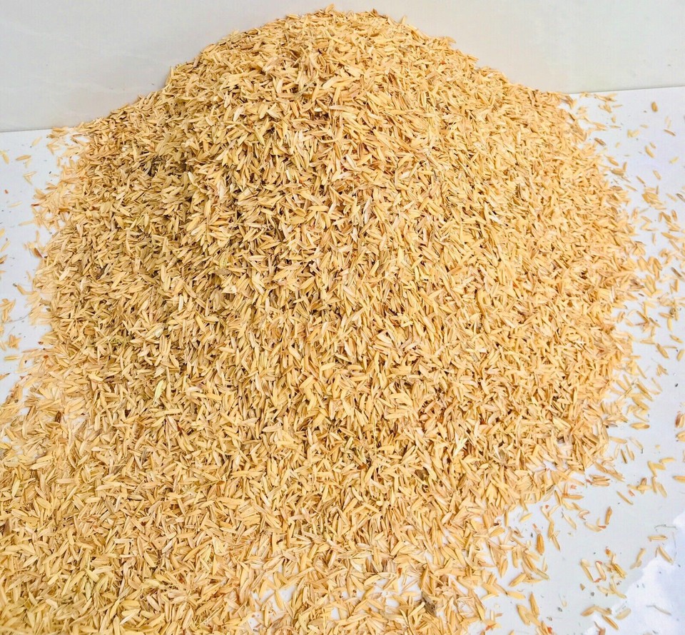 Rice Hulls Natural Organic Husk Hydroponics Plant Garden Growing Media ...