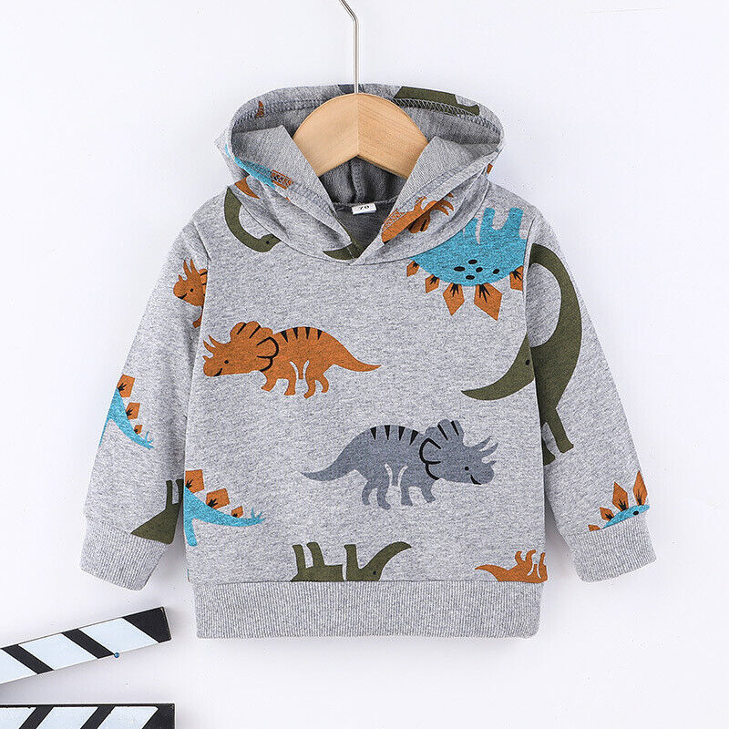 Baby Infant Boys Toddler Dinosaur Outfit Hooded Tops Pants Tracksuit ...