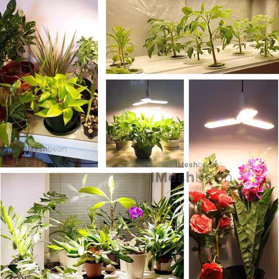 2x2 Complete Grow Tent Kit w/Full Spectrum Grow Light Air Ventilation ...