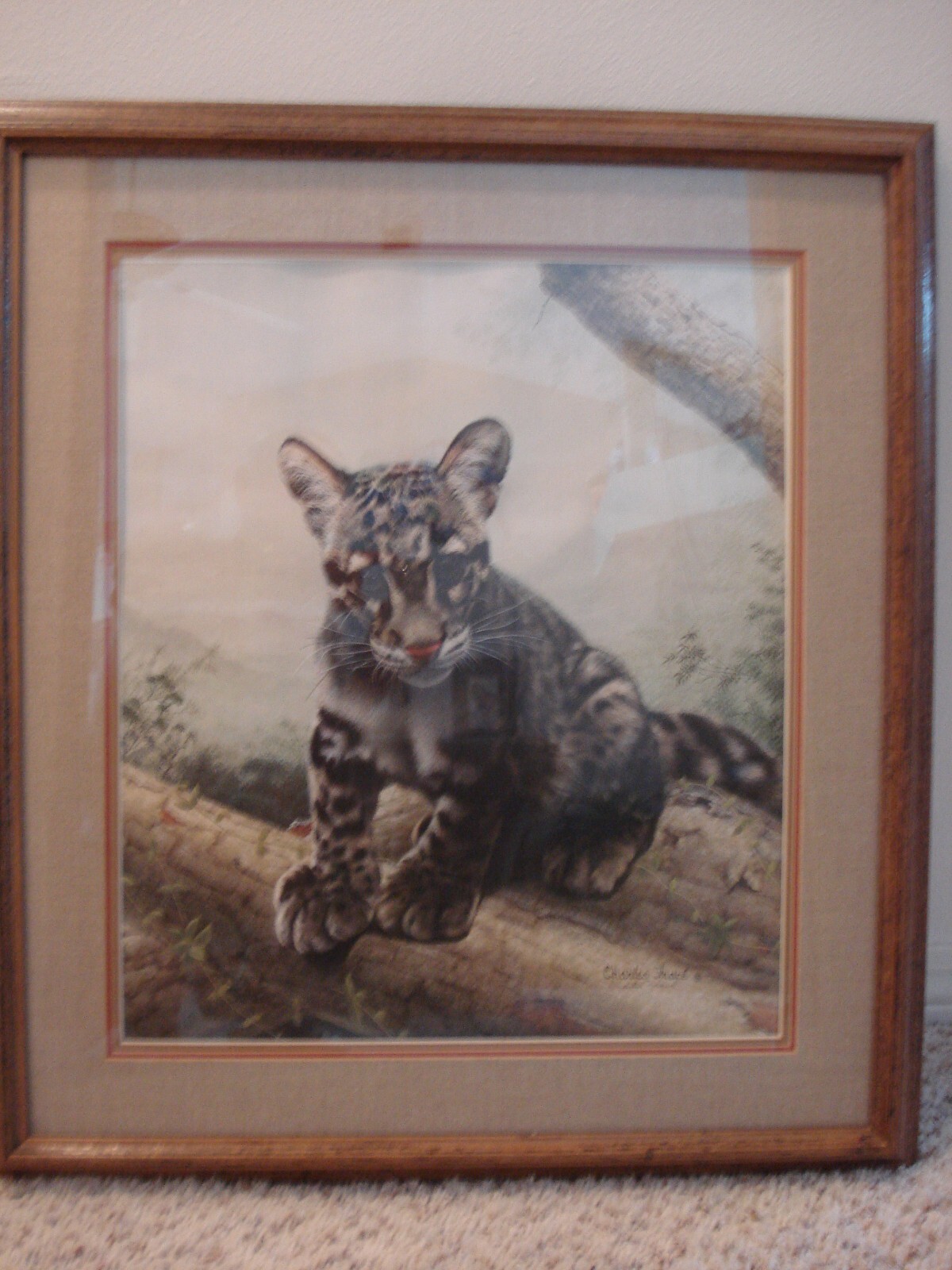 FRAMED CHARLES FRACE' SIGNED LIMITED EDITION PRINT CLOUDED LEOPARD CUB ...