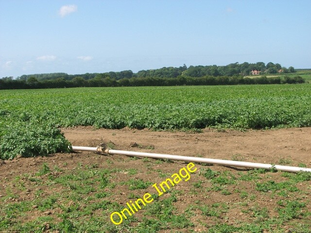 Photo 6x4 Irrigation pipe in potato crop field Langham/TG0041 c2014 | eBay