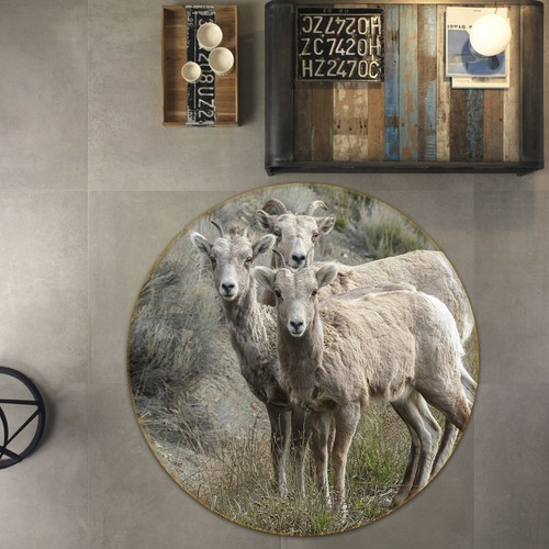 3D Prairie Bighorn Sheep C41 Animal Non Slip Rug Mat Elegant Photo ...