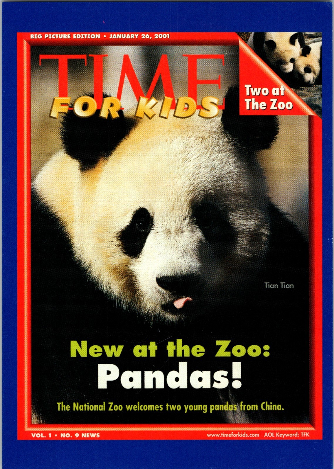 Postcard Time Magazine for Kids New at the Zoo Pandas Advertising | eBay