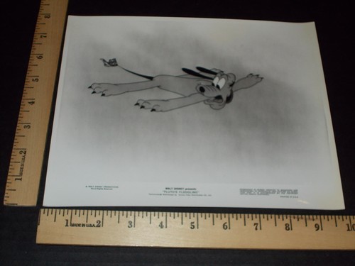 Rare Original VTG Walt Disney Pluto's Fledgling Cartoon Movie Photo ...