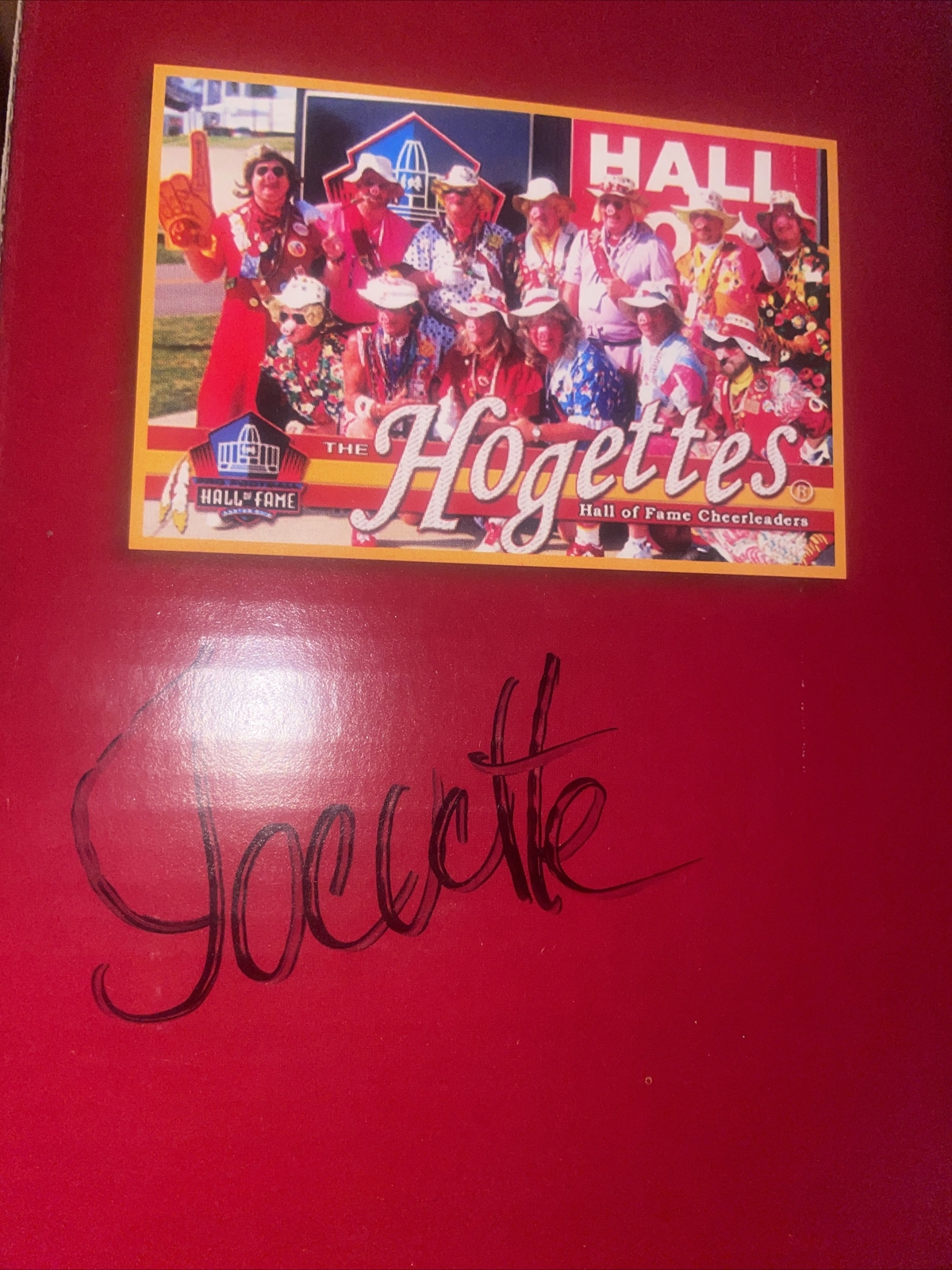 Washington Football Team Hogettes Very Rare Bobblehead NFL 11/500 ...