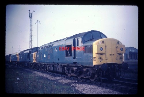 PHOTO BR CLASS 37 LOCO NO 37050 AND 37049 AT STRATFORD MPD 1983 | eBay