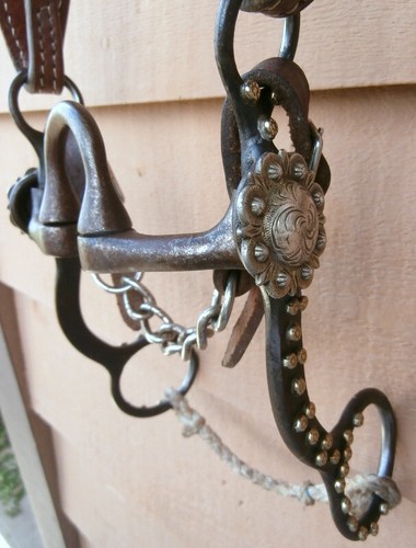 Berry Edge 1-1/2 in. Conchos Custom made Iron Correction Horse Bit ...