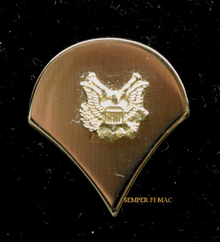 TWO 2 SPECIALIST E-4 SPC GOLD LAPEL HAT PIN UP US ARMY VETERAN RANK ...