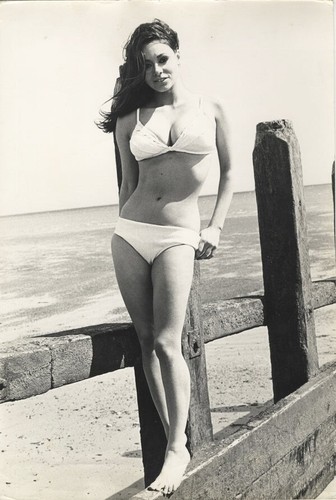 Carmen Dene Sexy Glamour Pin Up Bikini 1960's Double Weight 11x15 Original Photo | eBay