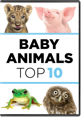 DVD PBS: Baby Animals: The Top Ten (3 DVDs) NEW 841887047418 | eBay