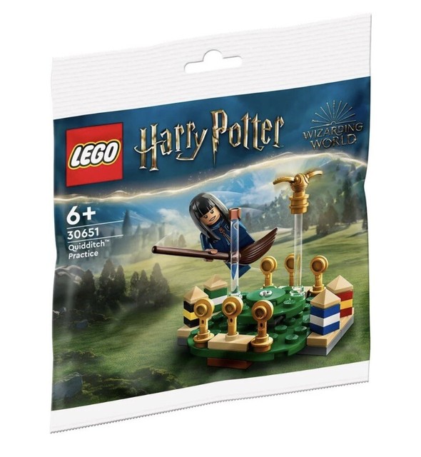 LEGO Harry Potter: Quidditch Practice (30651) for sale online | eBay