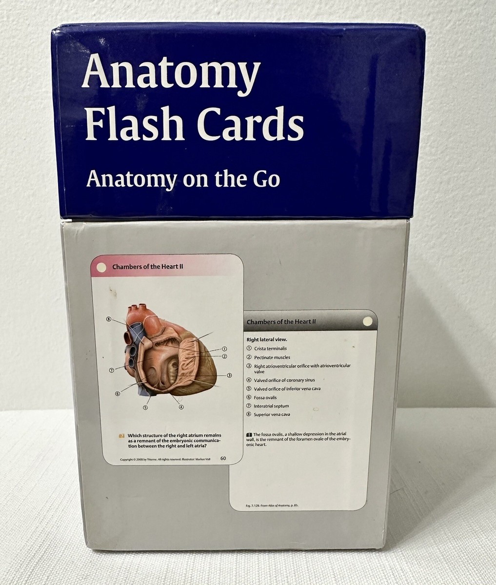 Printable Anatomy Flash Cards Kanji Flashcards Quizlet 16 Body Parts
