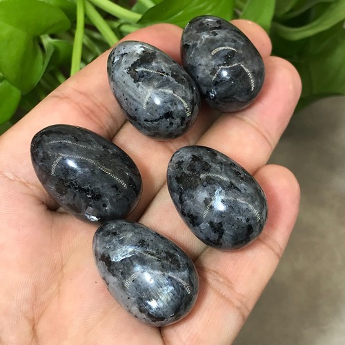 5pcs natural black spectrolite quartz egg quartz crystal skull reiki ...