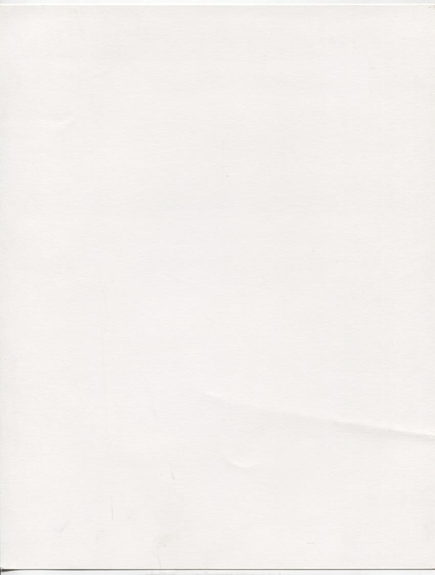 Sabrina Maui Adult Actress Autographed 8.5"x11" Photo w/COA WWE7-28 ...