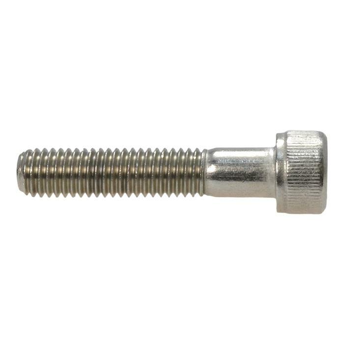 Qty 50 Socket Head Cap M12 (12mm) x 100mm Stainless Steel Screw 304 ...
