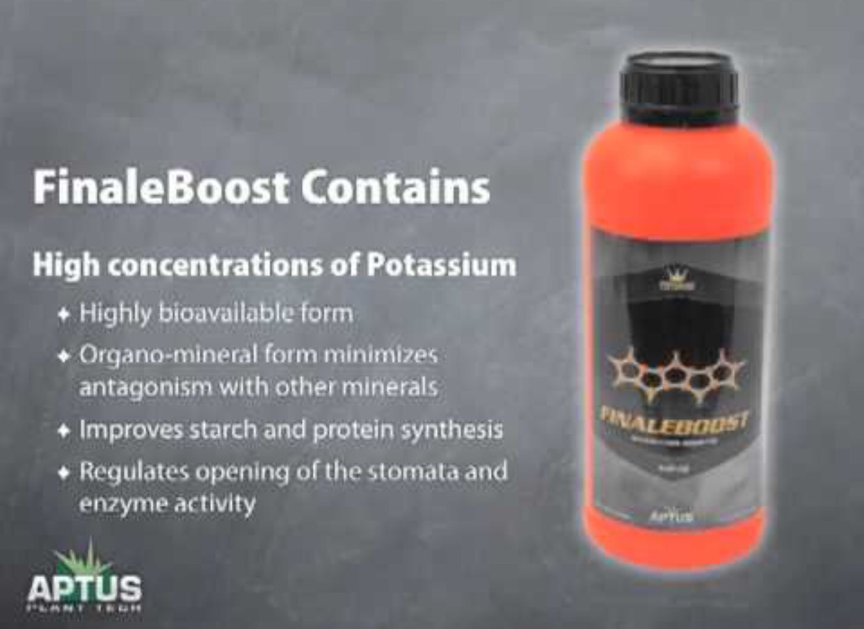 Aptus Finaleboost 1L | eBay