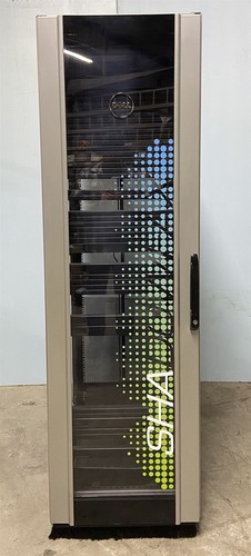 Dell Rittal 0RXYFT 42U Server Network Cabinet Rack w/ Casters 7907076 2 ...