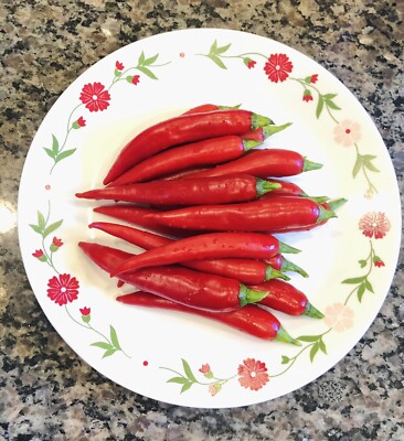 Finger Hot Pepper/ Korean Hot Pepper, 20 Seeds+5 Free, Delicious,Easy ...