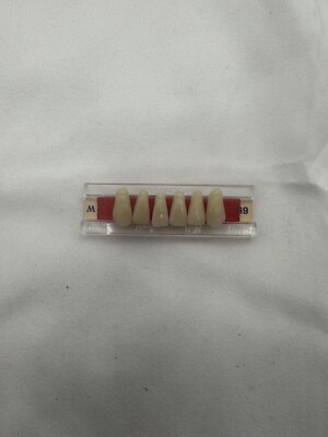 Justi Imperial Wear Resistant Plastic Teeth 69 W *54 Count* | eBay