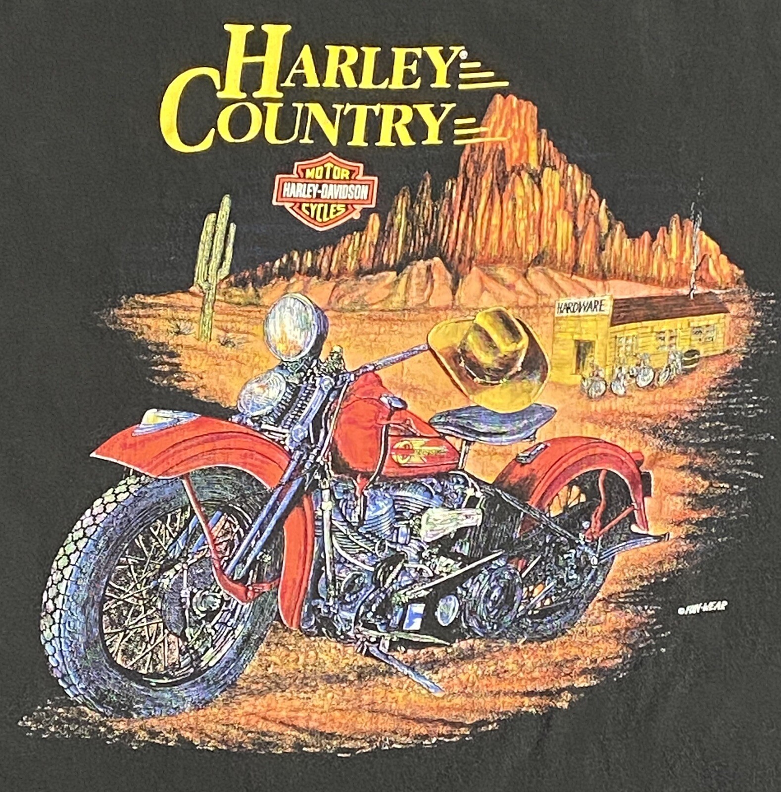 Vintage Harley Davidson “Harley Country” Single Stitc… - Gem