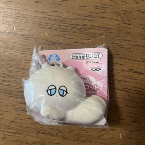 Asamimi-chan Squishy Mascot Danny-kun Prize Collectible | eBay