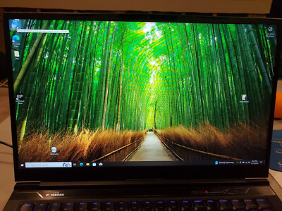 Overpowered OP-LP3 Laptop, i7 8750H , 17" 144Hz FHD IPS, 16GB, 1 TB ...