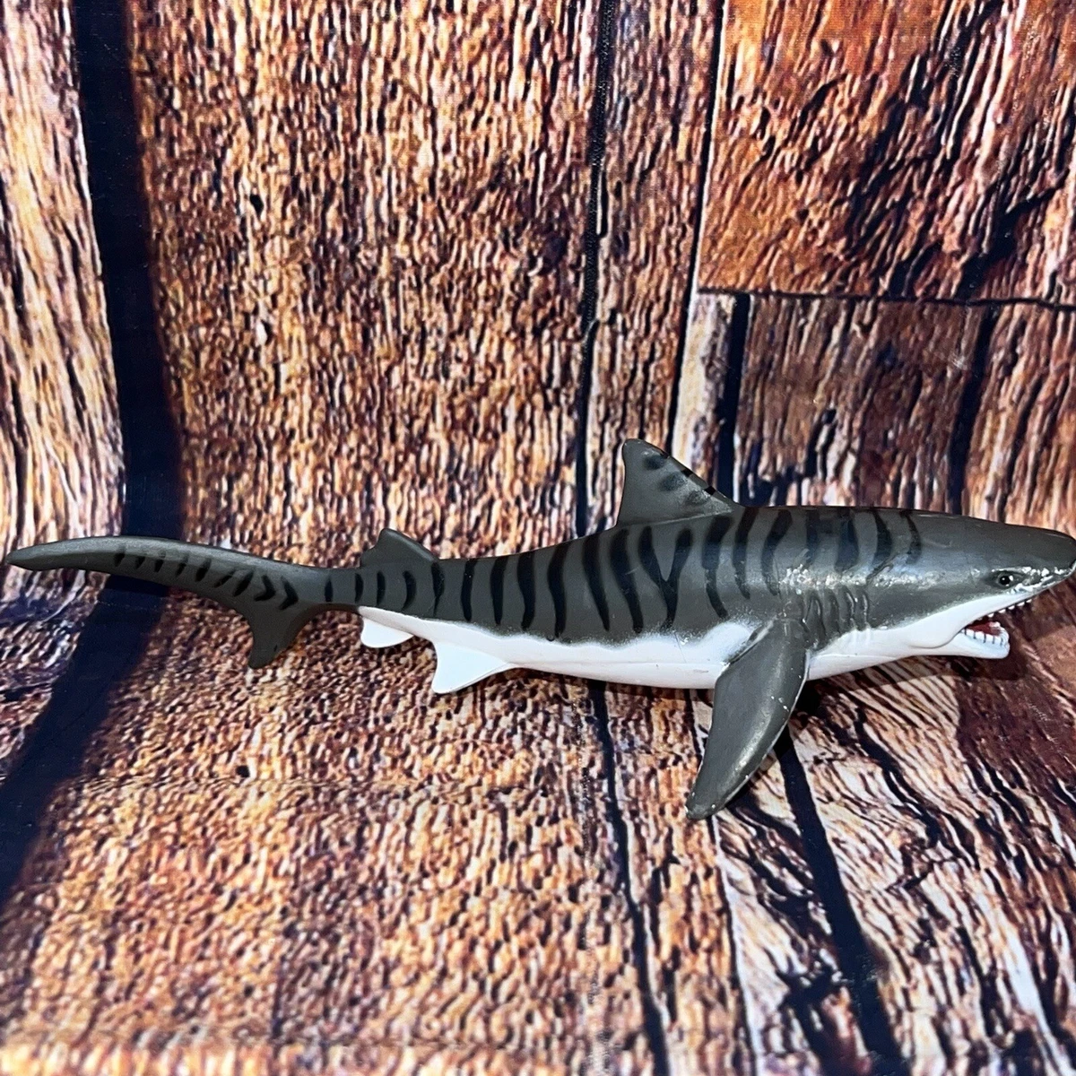 Tiger Shark In Action