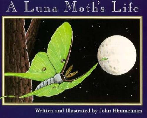 A Luna Moth's Life (Nature Upclose) - Paperback By John Himmelman ...