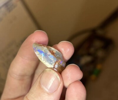 Stunning 6 Piece Australian Fire Opal Fossil Clam Shell Collection 142 ...