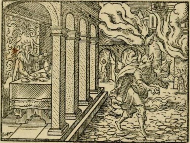 Werewolf spell, transform into werewolf, transformation spell, and ...