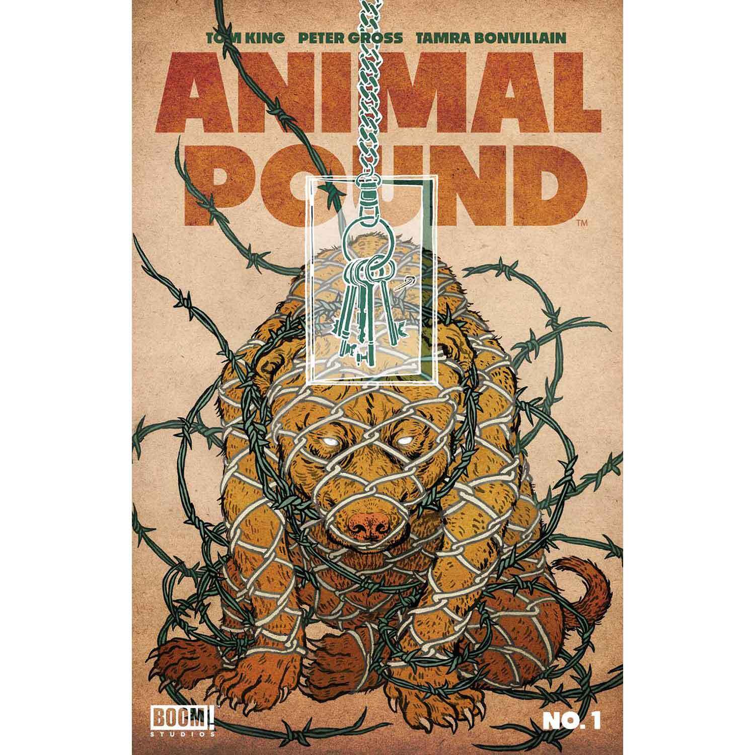Animal Pound #1 Cover B Shimizu Boom! Studios | eBay