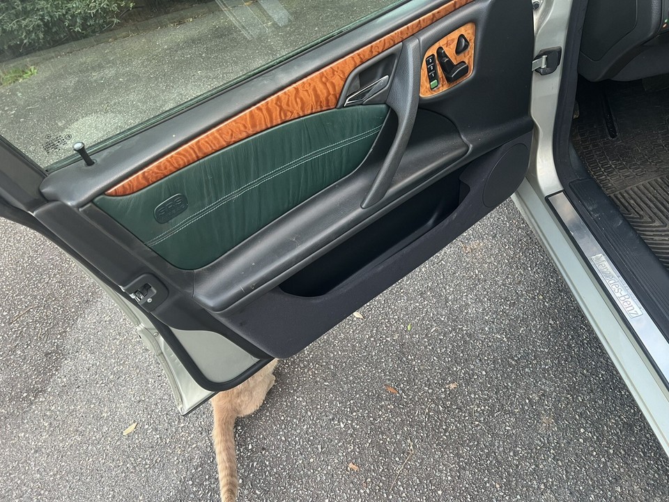 Mercedes-Benz W210 E55 AMG GREEN Designo HEATED SEATS Door Panel E430 ...