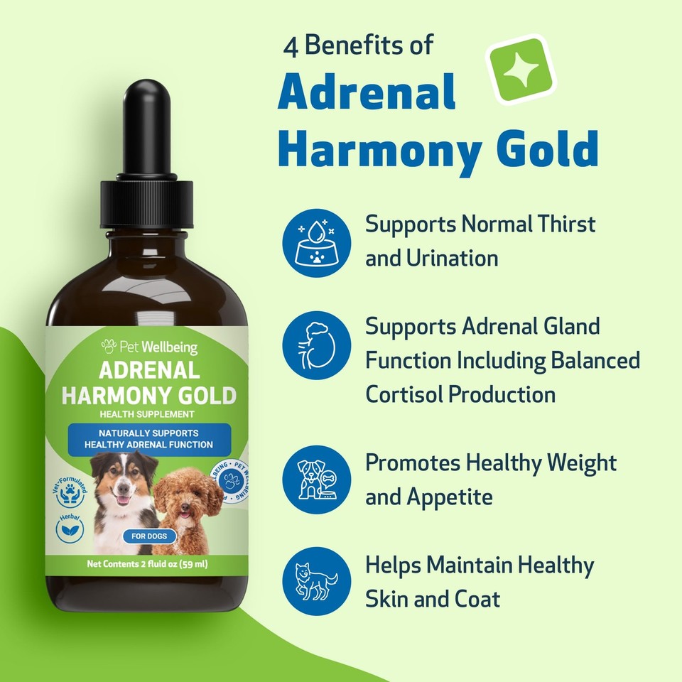 Adrenal Harmony Gold for Dogs - Vet-Formulated - Adrenal Gland ...