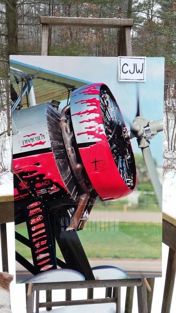 Kyle Franklin's Demon 1 Dracula Waco Biplane Aluminim Color photo wall ...