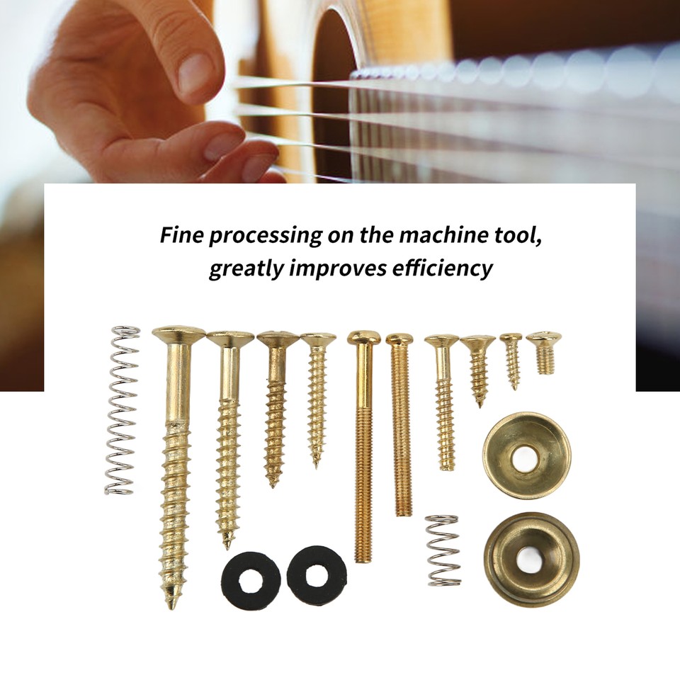 Electric Guitar Screw Kit Metal Screws Spring Strap Snap Assortment Set ...