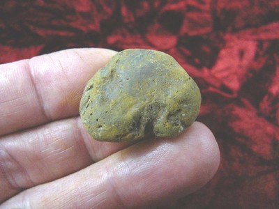 (PP450-43) 1" Genuine Fossil TURTLE POOP Coprolite DUNG WEIRD WA state ...