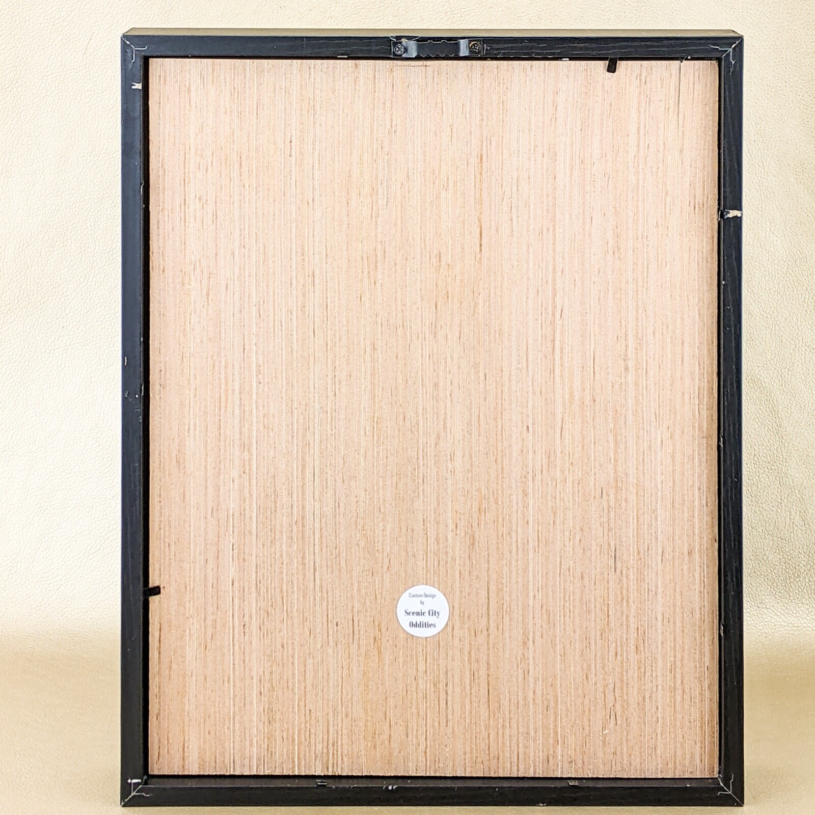 p19c Rattle Snake Taxidermy Oddities curiosities Framed Display ...