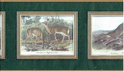 * PARTRIDGE DEER HARE RABBIT OFFICE DEN Wallpaper bordeR Wall NATURE | eBay