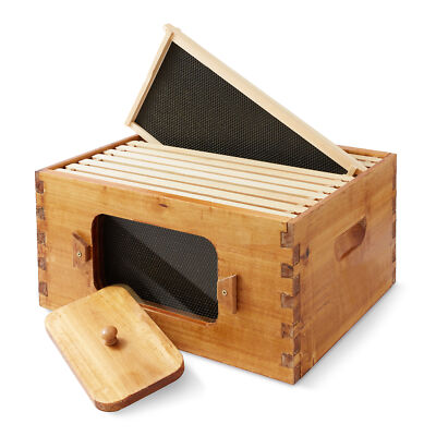 Deep Waxed Brood Box with Window, 10 frames and 10 Blk Foundations | eBay