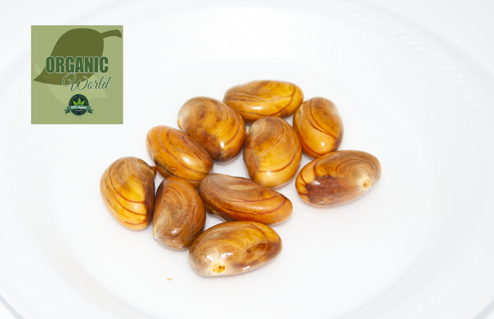 10 JACKFRUIT SEEDS100% organic rare/sweetest jack fruit seed from ...