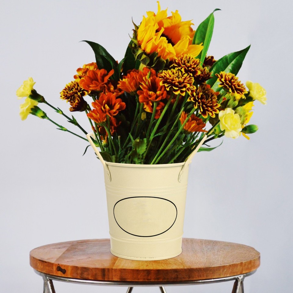 Mini Round Flower Pot Plant Bucket Home Decoration bucket with Handle ...