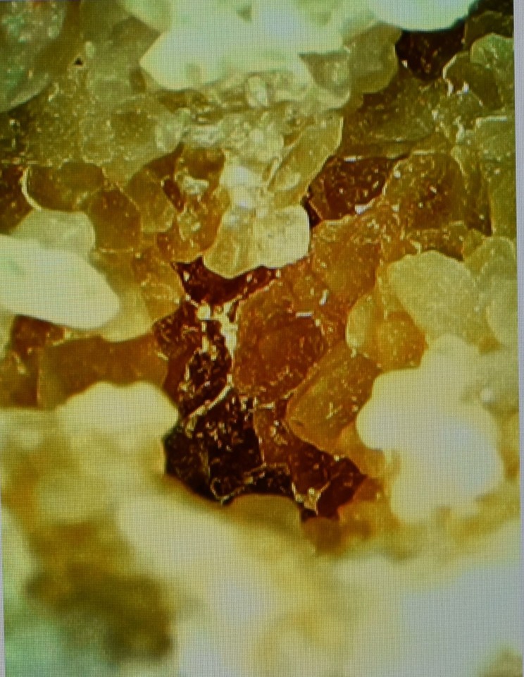 Golden Drusy Crystal Brain Geode North Carolina on Display Carved Wood ...