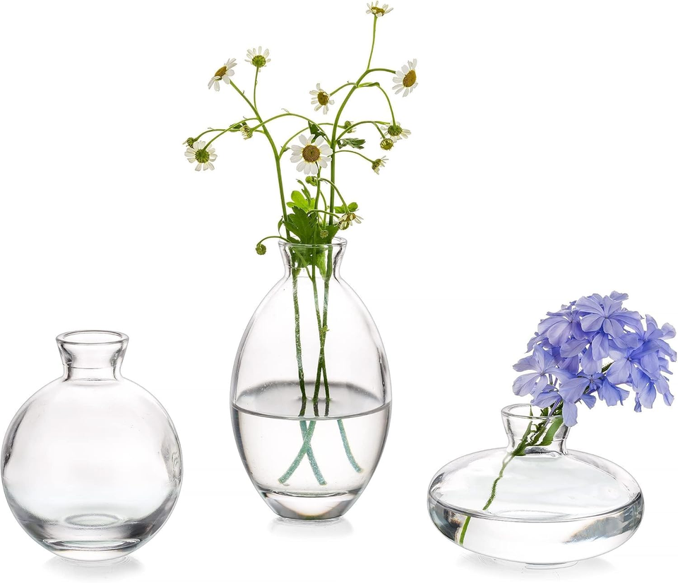 Glasseam Clear Glass Bud Vase, 3Pcs/Set Modern Decorative Small Mini ...