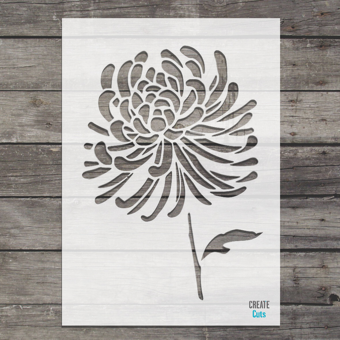 Chrysanthemum Stencil 08 00008 Chrysanthemum Flowers Stencil