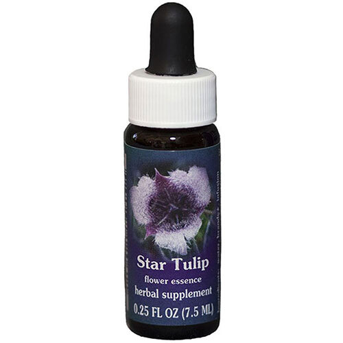 Star Tulip Dropper 0.25 oz By Flower Essence Services | eBay