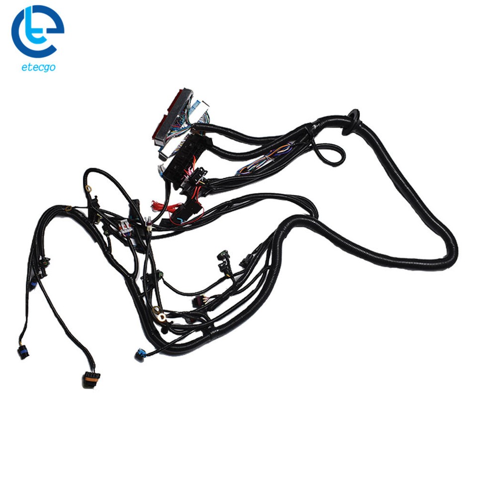 Standalone Wiring Harness For DBC LS Swap T56 Manual LS1 1997-2006 4.8 ...