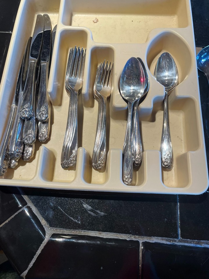 Vintage 1847 Rogers Bros Daffodil Silverware Silverplate Flatware 46 ...