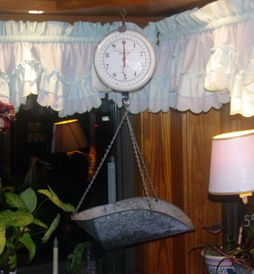 Scales - Scale With Basket