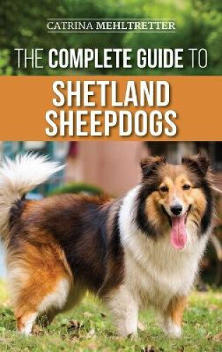 The Complete Guide to Shetland Sheepdogs: Finding, Raising, Training ...